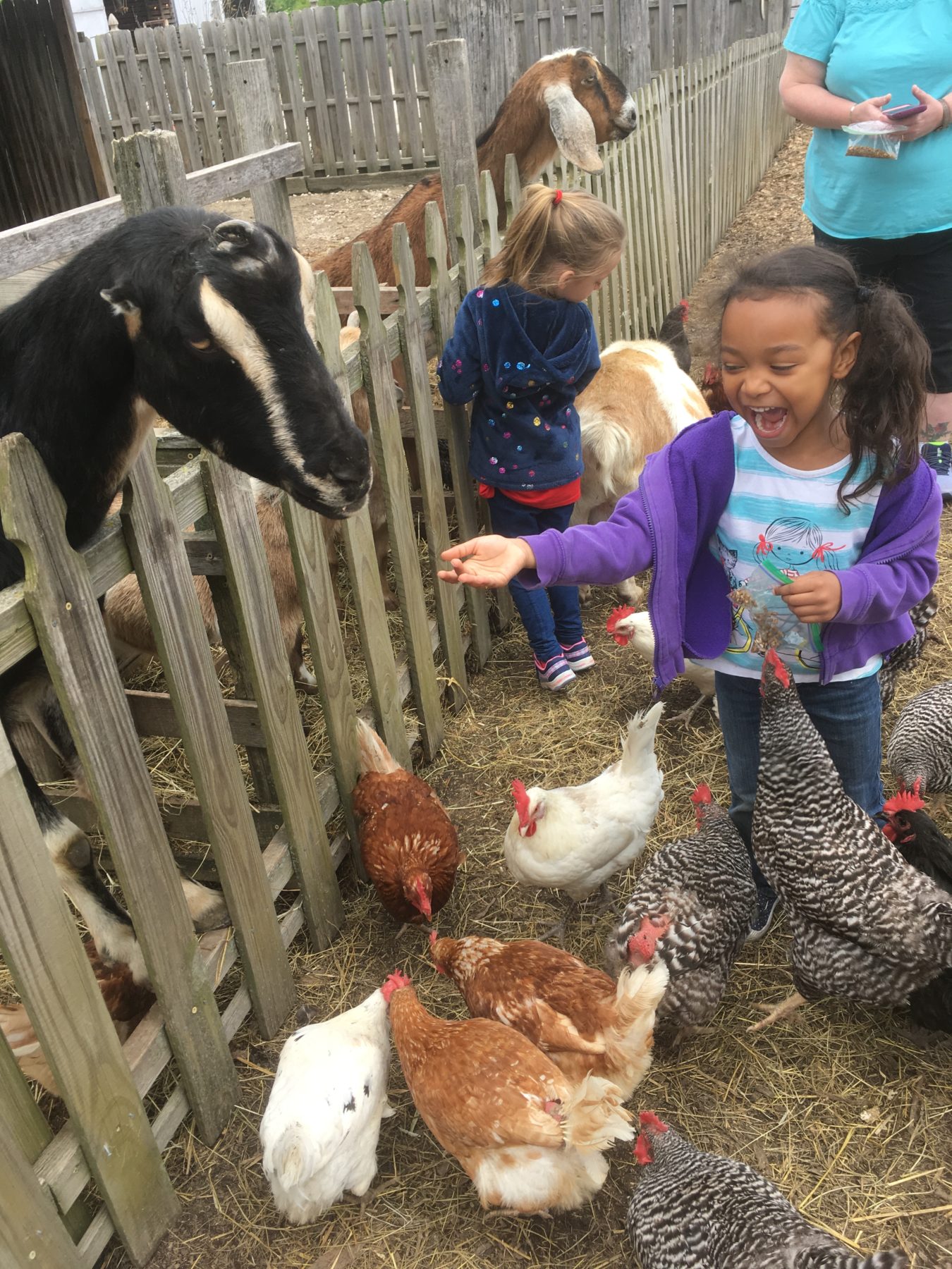 Farm – Holy Cross Lutheran Church, O'Fallon, Missouri